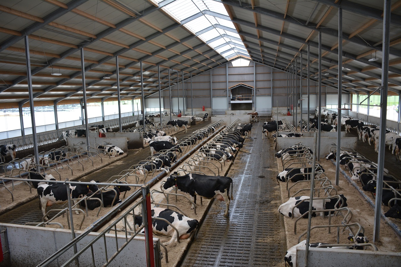 Le lait européen franchit les 500 €/t - Grands Troupeaux Magazine